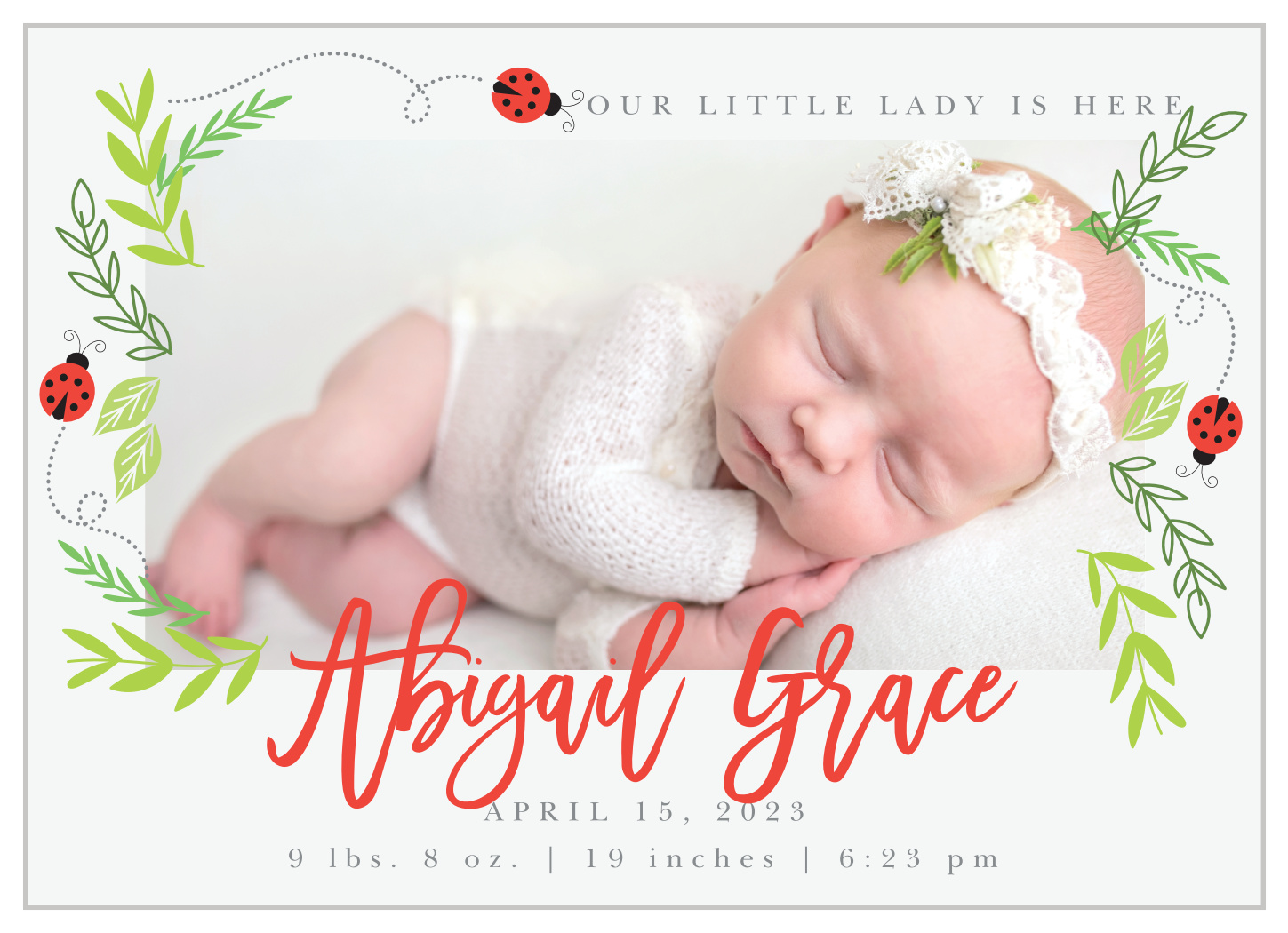 Little Ladybug Birth Announcements by Basic Invite