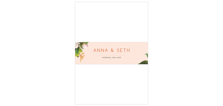 Spring Blush Wedding Belly Bands by Basic Invite