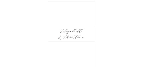 Paint Overlay Wedding Programs by Basic Invite