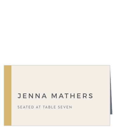 Contemporary Colors Wedding Programs by Basic Invite