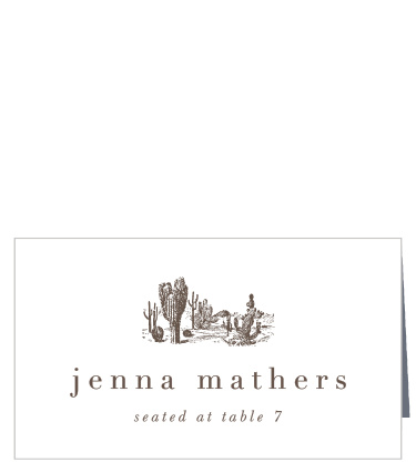 Desert Chic Wedding Invitations by Basic Invite