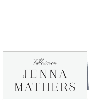Lovely Opaque Wedding Programs by Basic Invite