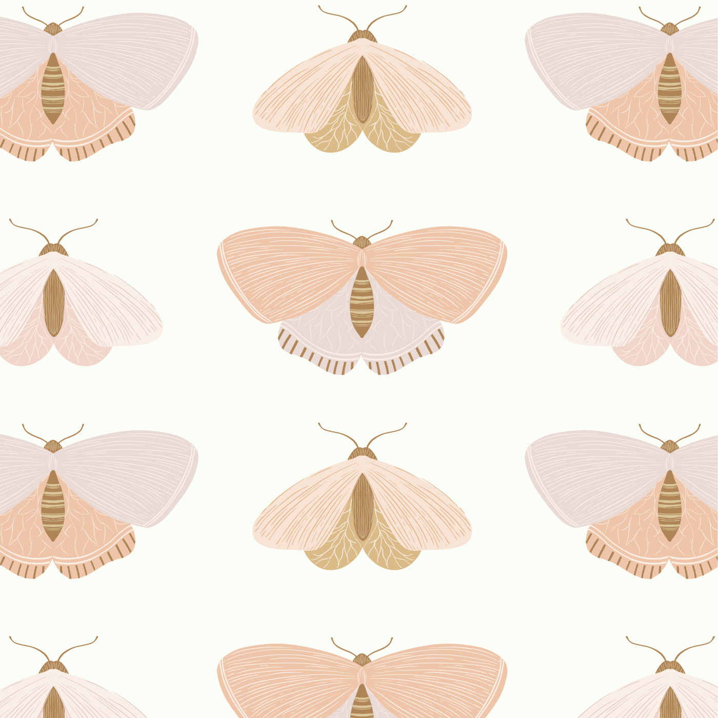 Moths Gallery Peel And Stick Removable Wallpaper | Love vs. Design