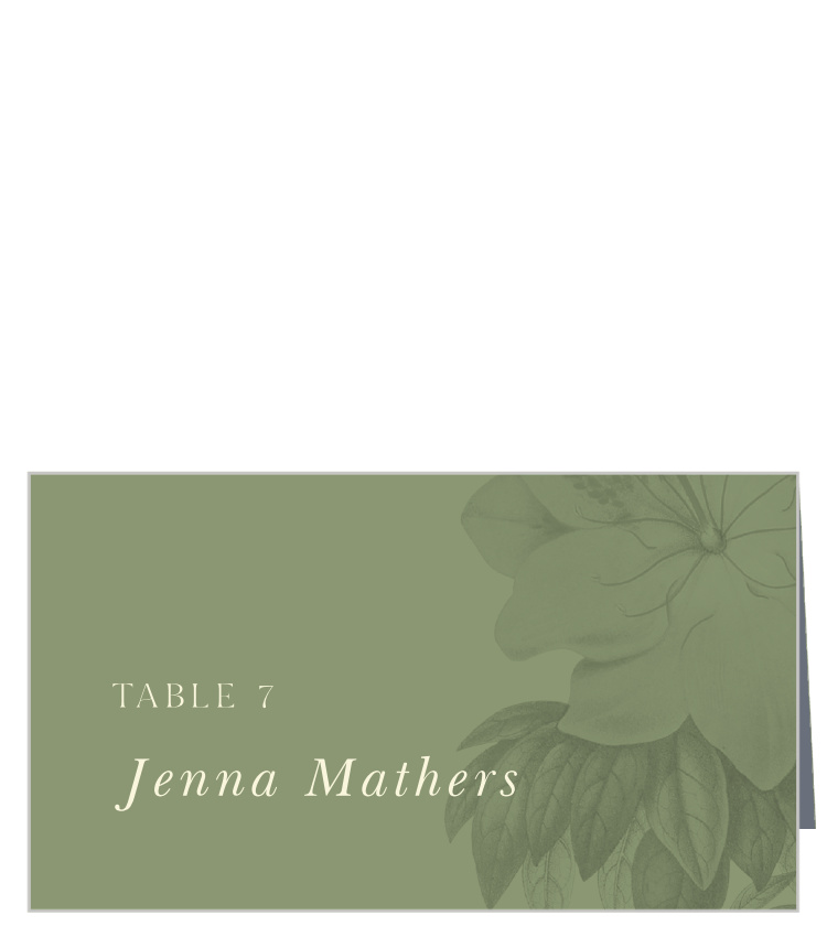 Botanique Elegance Wedding Arch Place Cards by Basic Invite