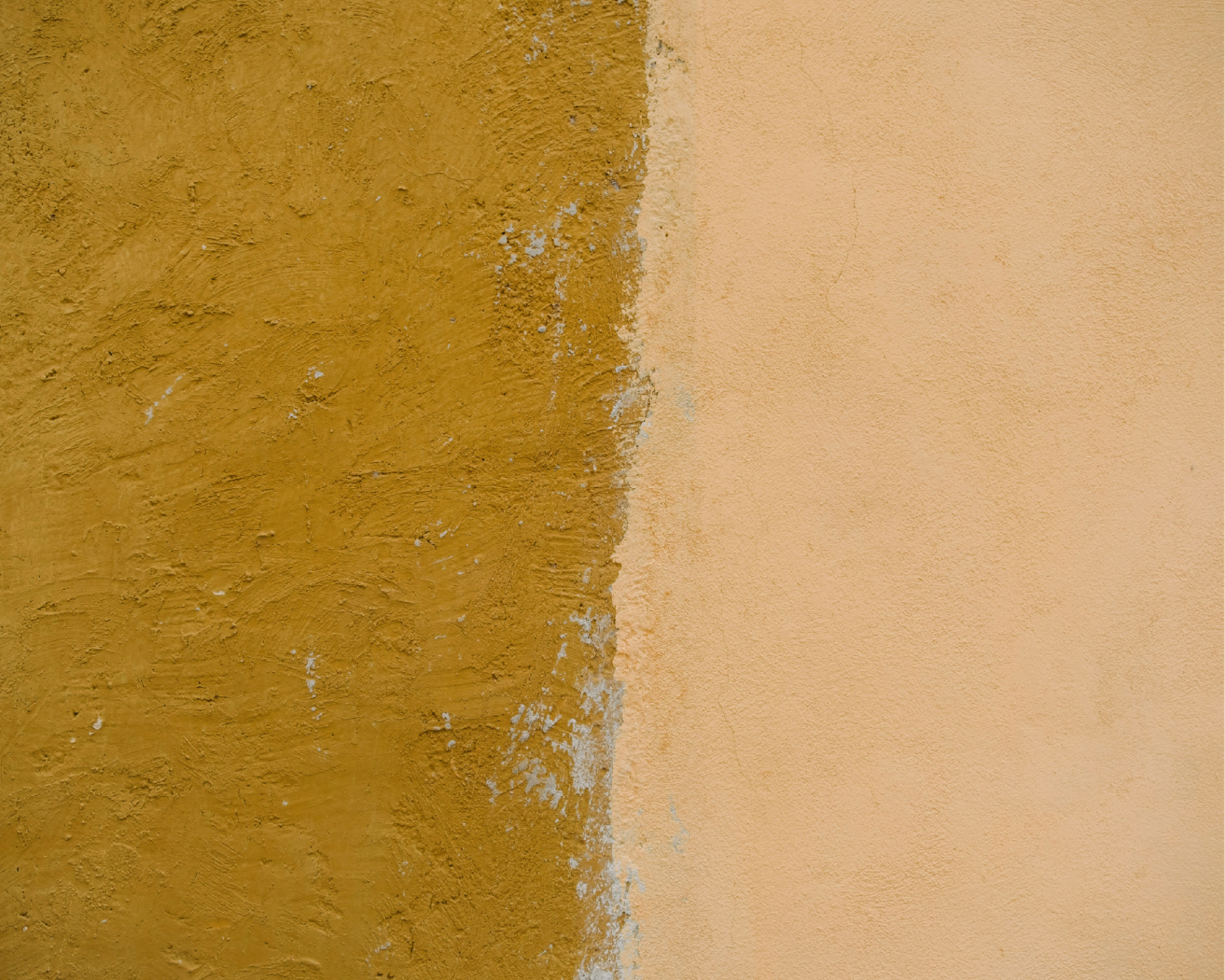 Color Block Peel & Stick Photo Mural by Love vs. Design