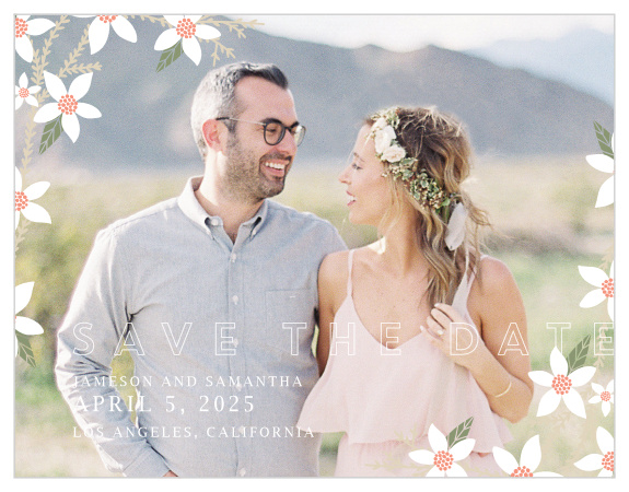 Darling Daisies Wedding Belly Bands by Basic Invite