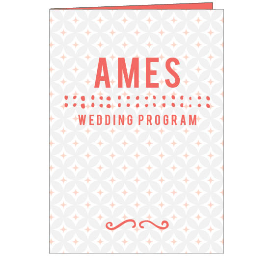 Fairy Tale Beginning Wedding Programs by Basic Invite